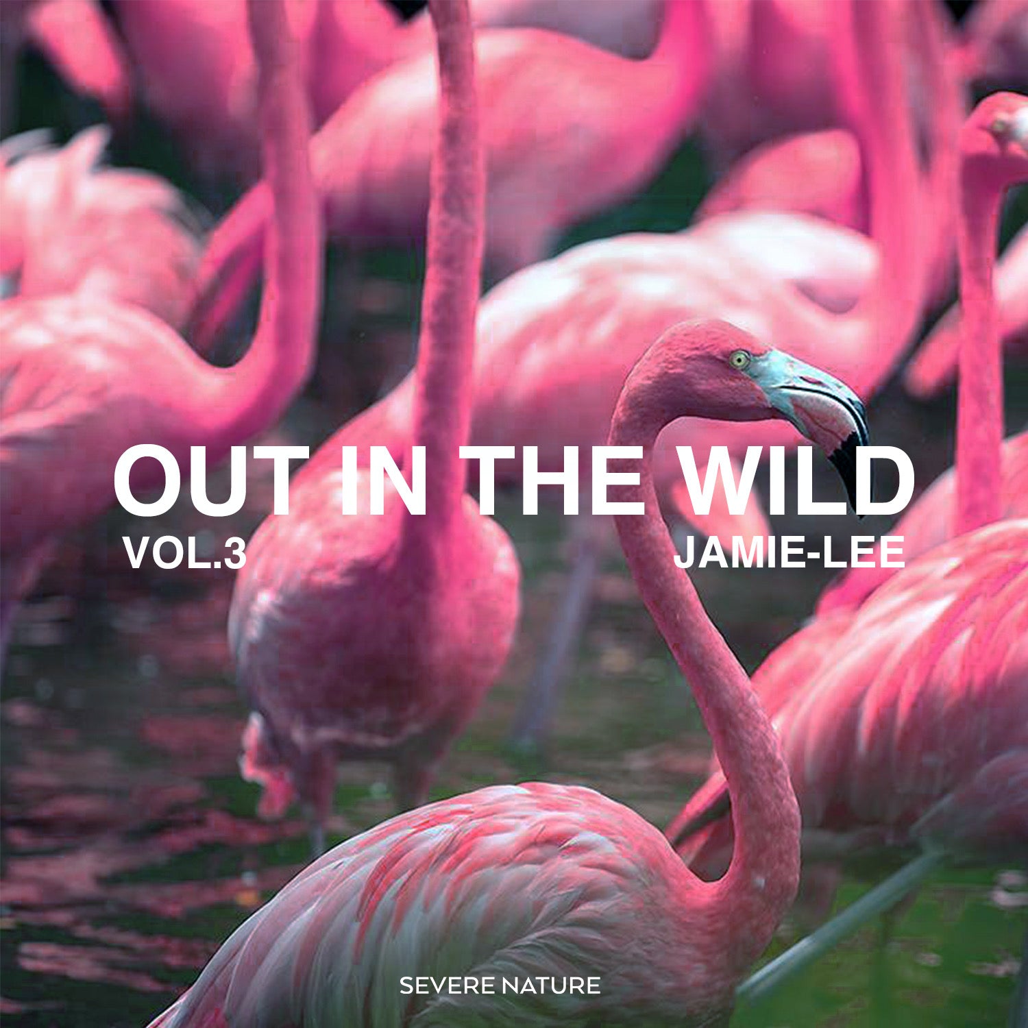 Out In The Wild Vol. 3 Cuated by Jamie-Lee – Severe Nature