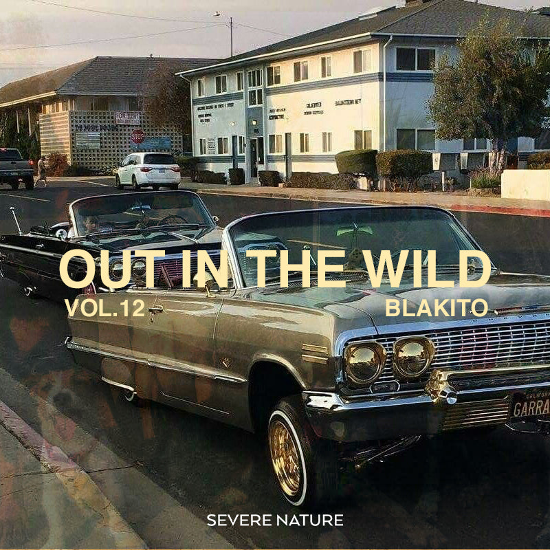Out in The Wild Vol.12 Curated by Blakito – Severe Nature